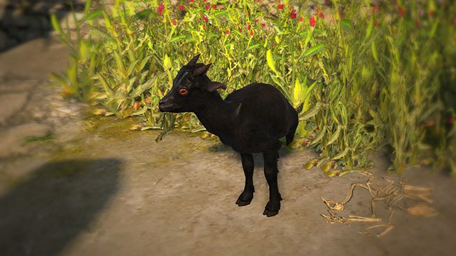 Path of Exile