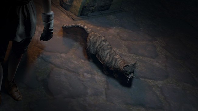 Path of Exile