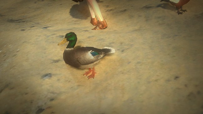 Path of Exile