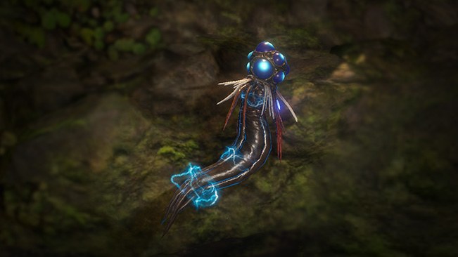 Path of Exile