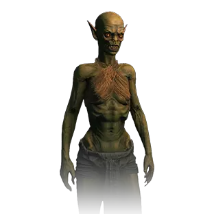 Path of Exile 2